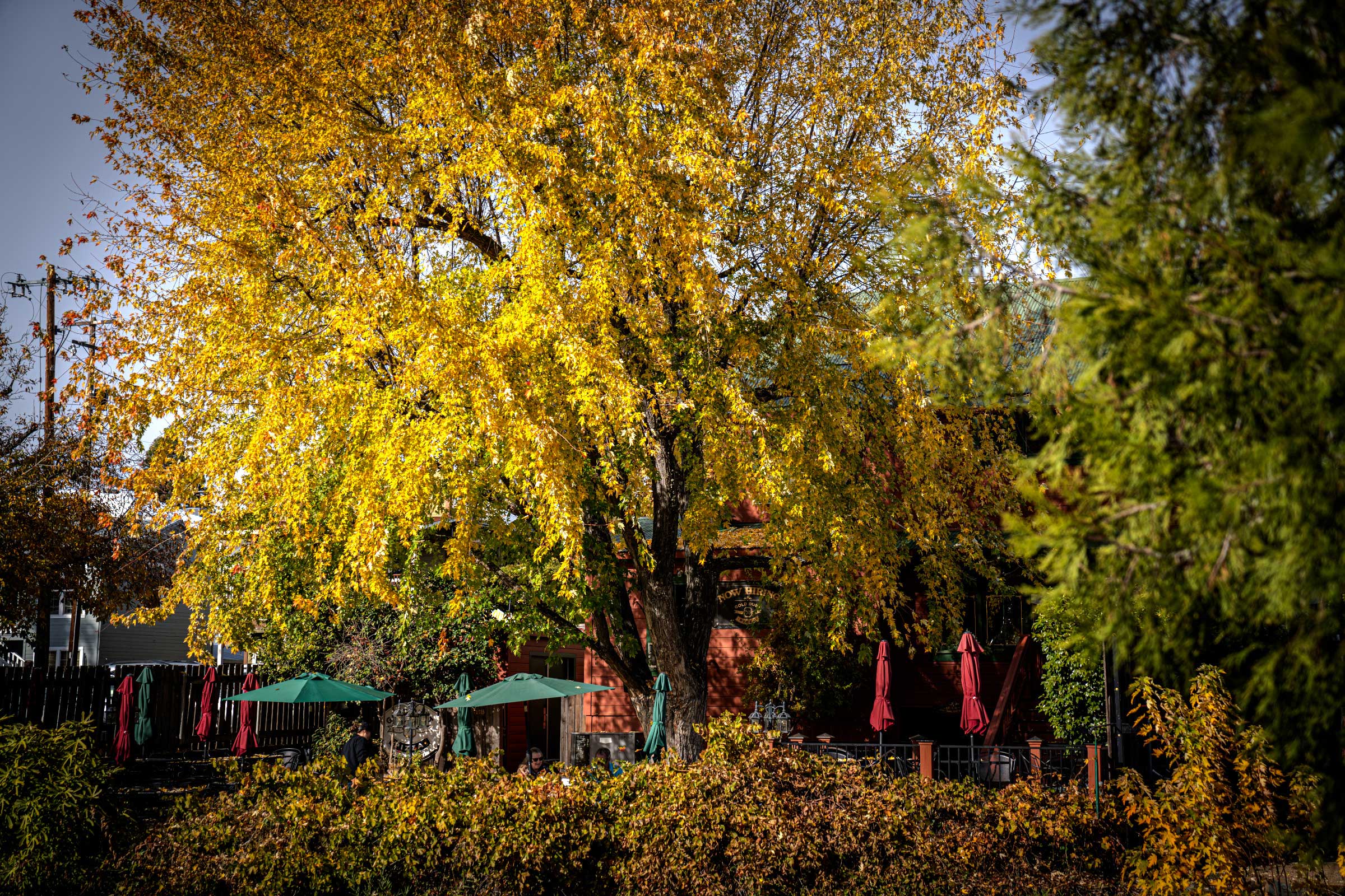 Gold Dust Pizza Sutter Creek - Handcrafted Pizza with Old West Charm